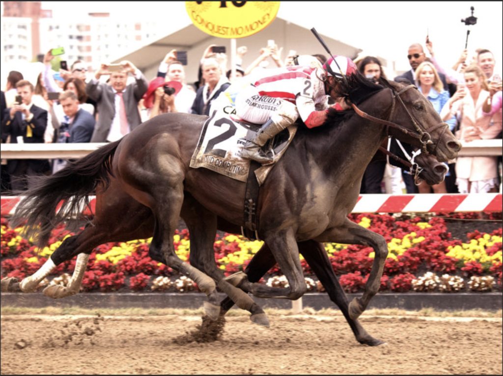 Pre-Preakness Party Benefits Beyond the Wire - Beyond The Wire